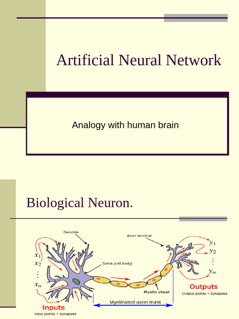 Neural Networks | PDF