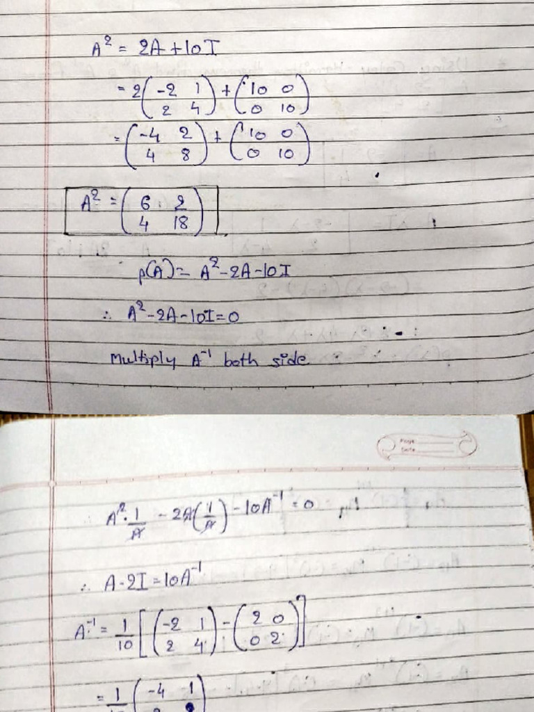 Matrices Assignment 2 | PDF