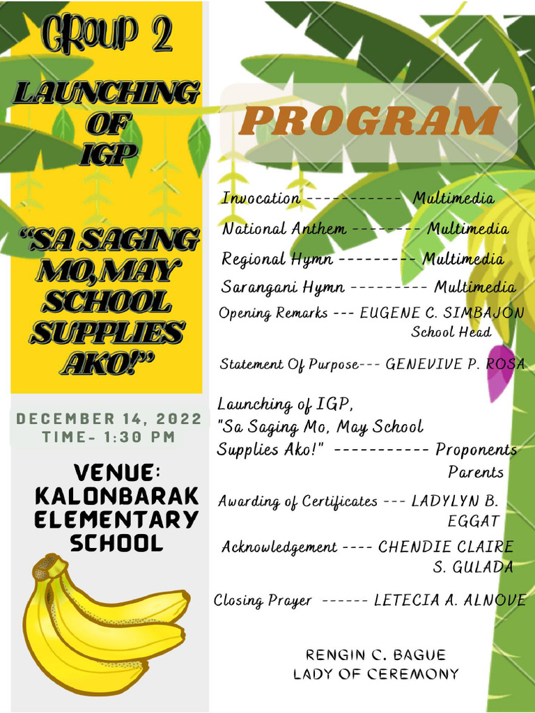 Igp Program | PDF