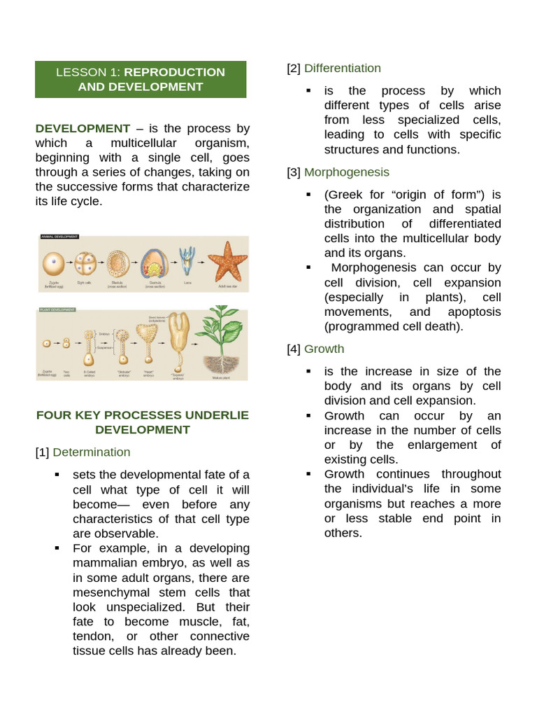 STEM 12 General Biology Notes | PDF