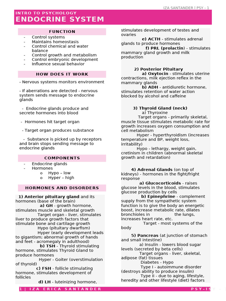 Endocrine | PDF | Endocrine System | Wellness