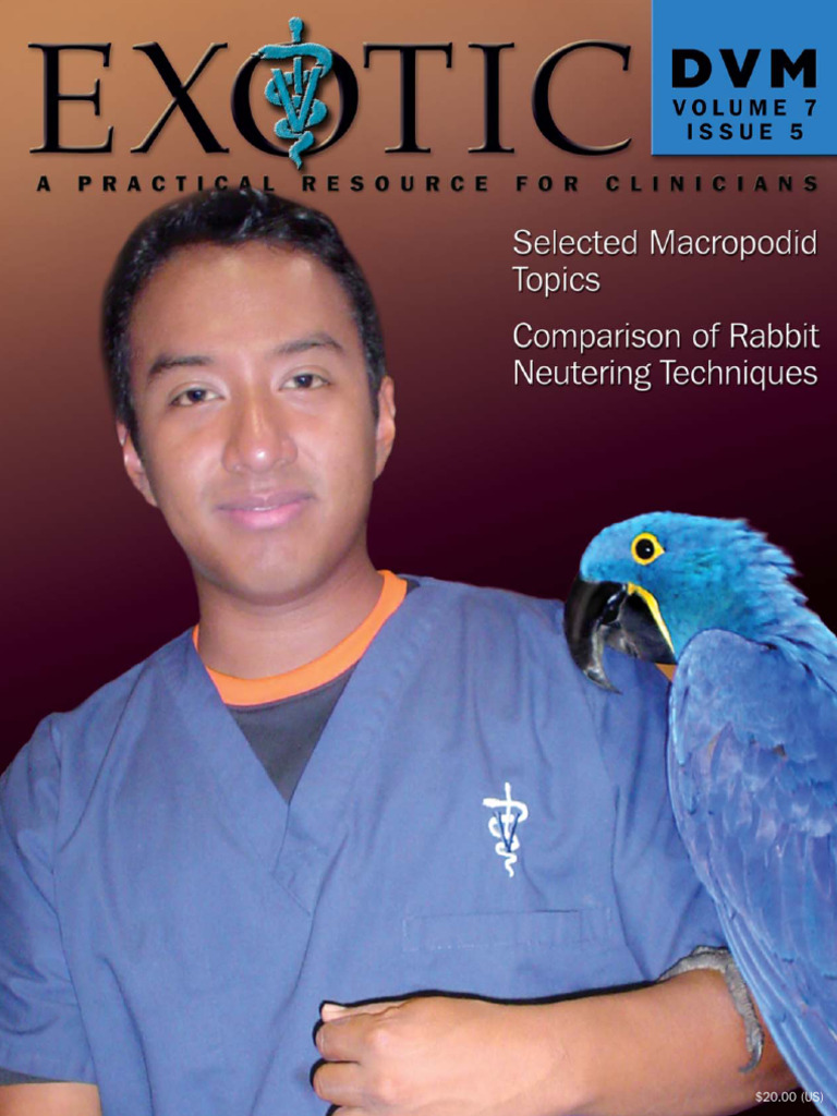 Surgical Techniques For Neutering The Female Pet Rabbit | PDF