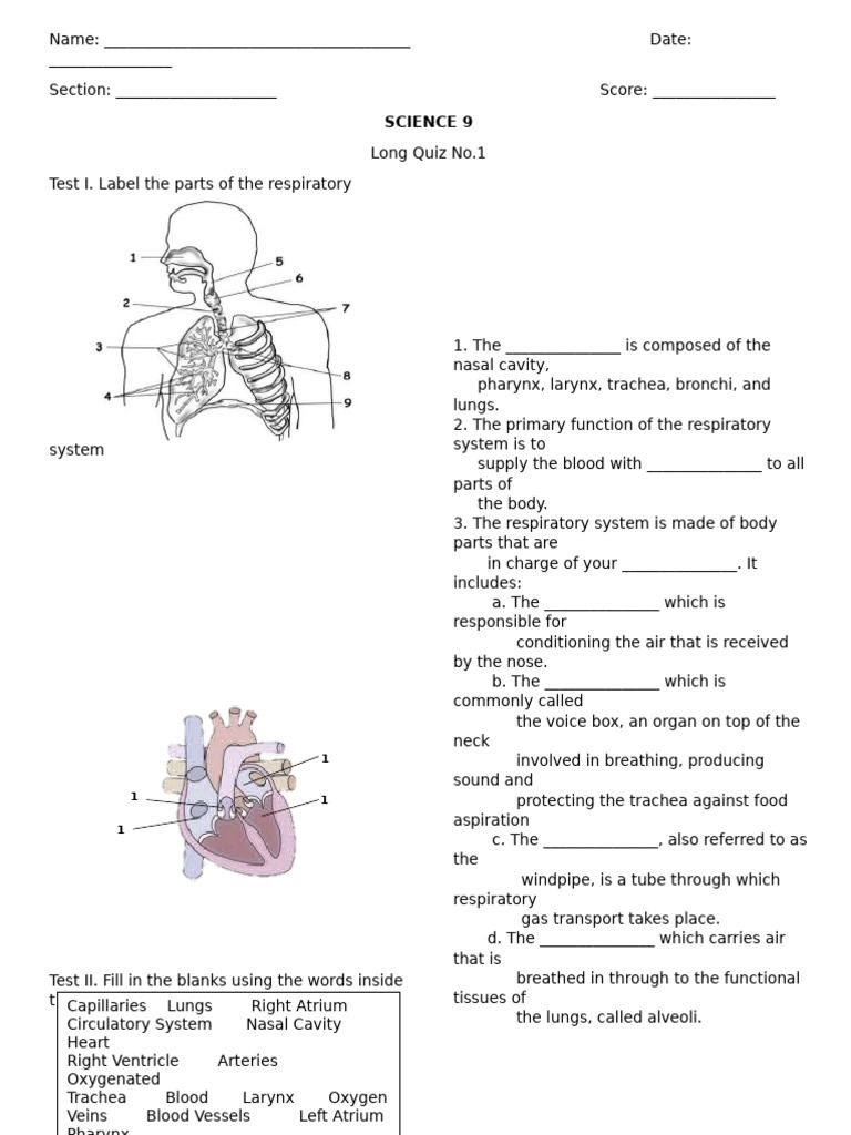 Long Quiz # 1 - Respi and Circ System | PDF | Blood | Heart