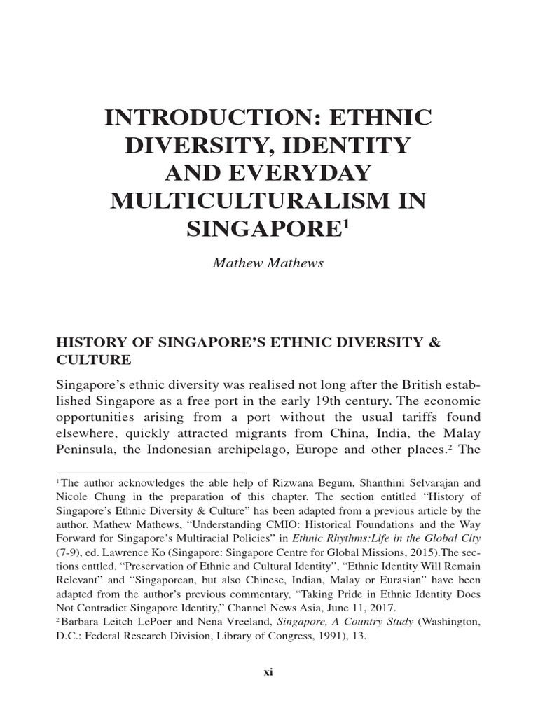 Singapore - Ethnic Diversity - Identity and Multiculturalism | PDF