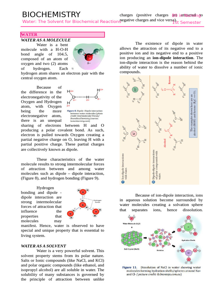 Biochem - Water | PDF