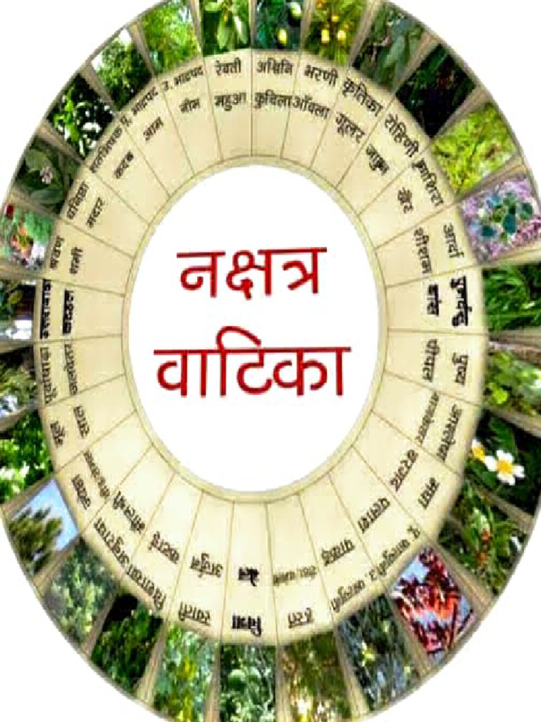 Nakshatra Vatika Drawing | PDF