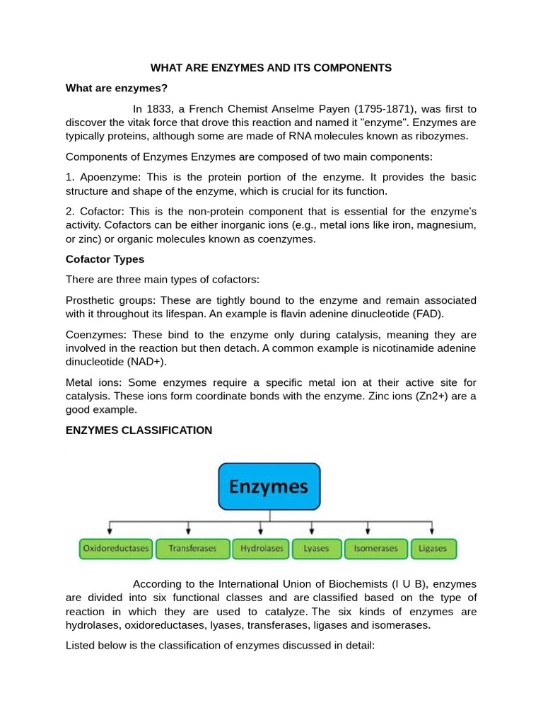 Enzymes and Its Components | PDF | Cofactor (Biochemistry) | Science ...