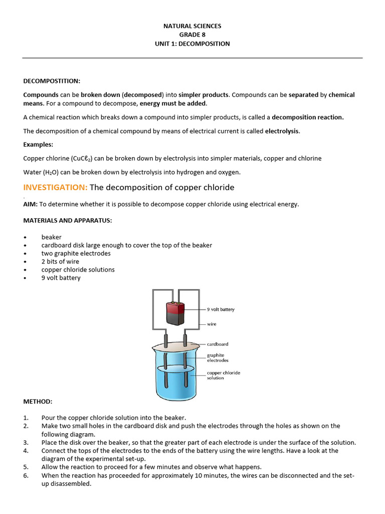 Gr.8 NS Unit 1 Decomposition | PDF