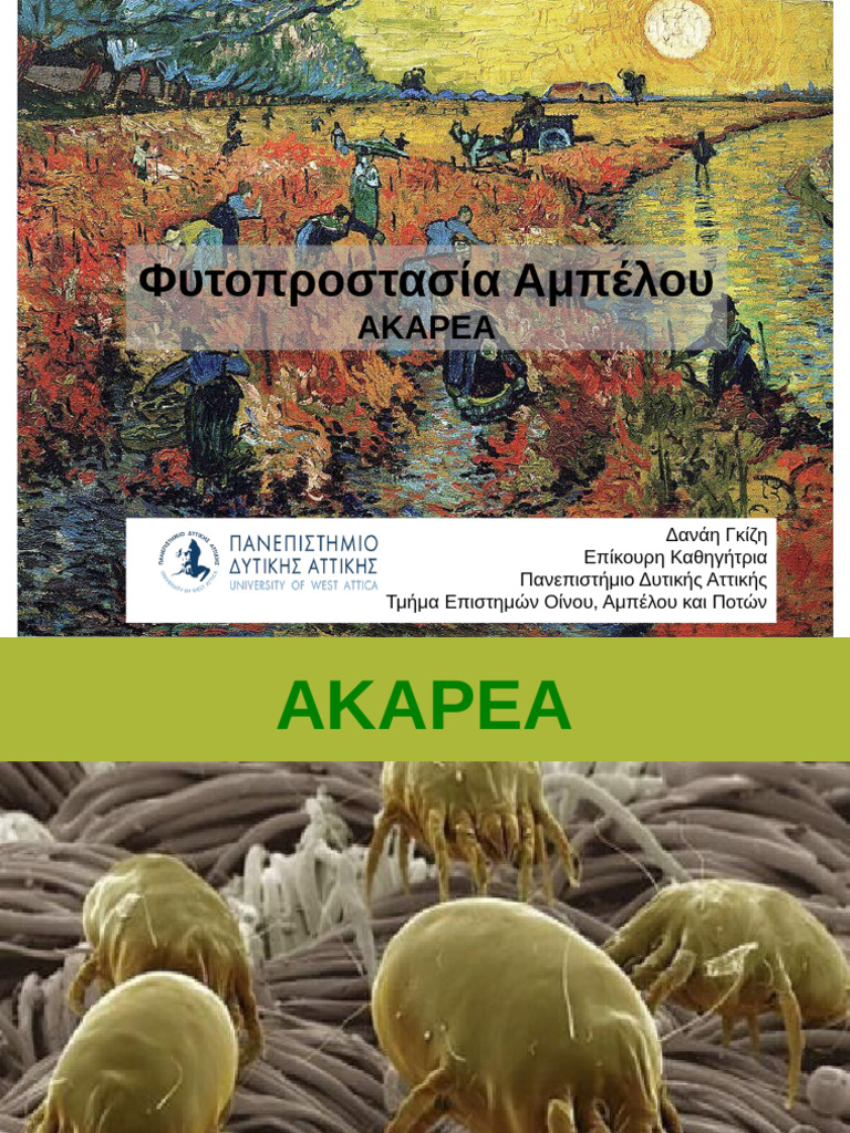 13. ΑΚΑΡΕΑ | PDF