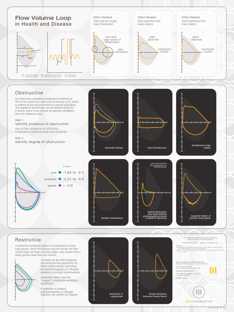 FlowVolumeLoop_poster_18x24_2024 | PDF