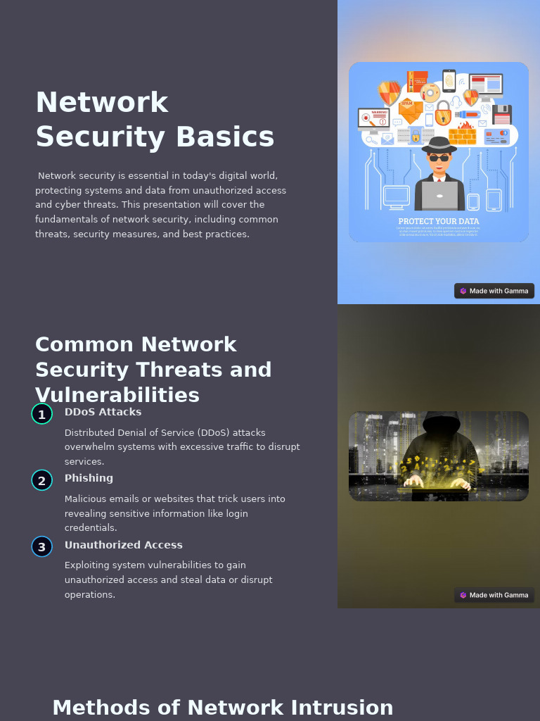 Network Security Basics | PDF