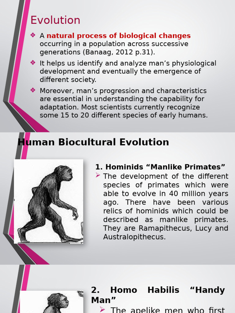 Human Evolution and Cultural Evolution | PDF
