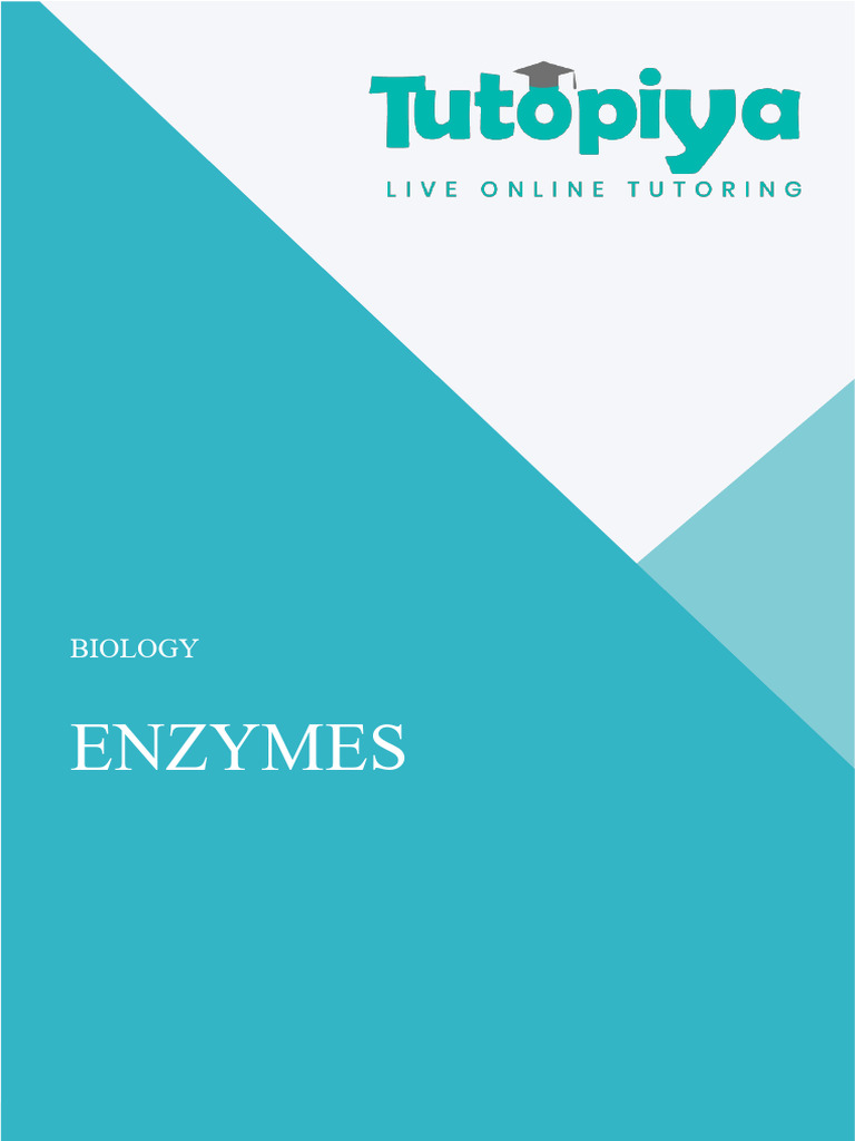 B4 - Enzymes | PDF