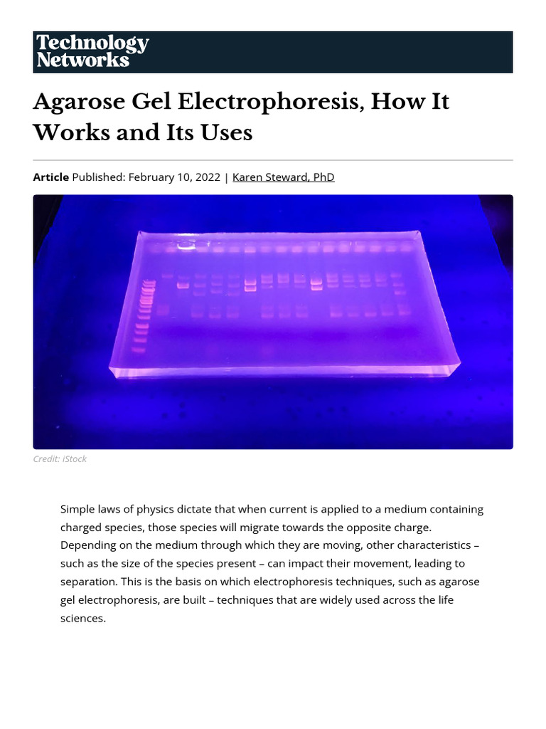 Agarose Gel Electrophoresis, How It Works and Its Uses | PDF