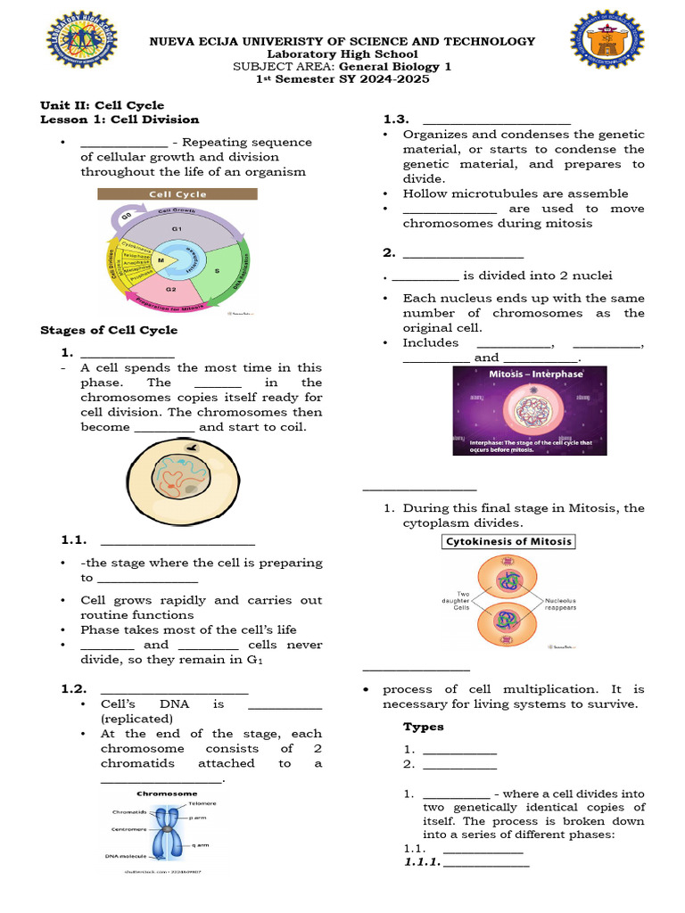 Lesson-6 Cell-Division LM | PDF | Meiosis | Chromosome