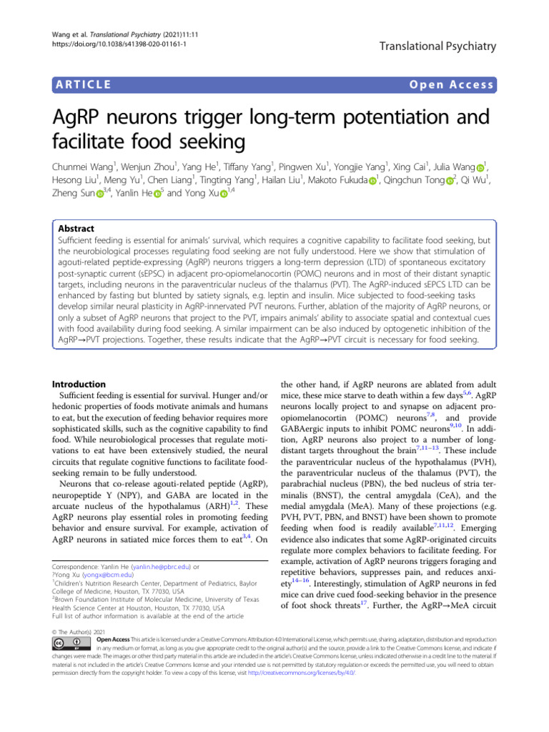 AgRP Neurons Trigger Long-Term Potentiation and Facilitate Food Seeking ...
