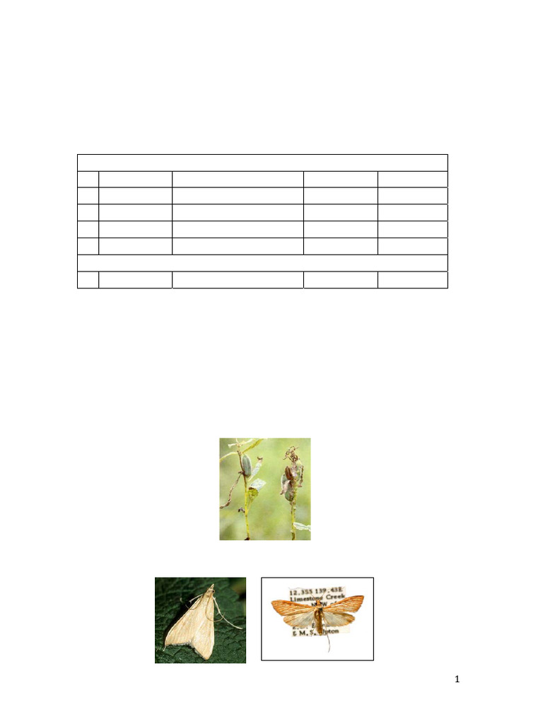 Pests of Gingelly, Castor, Mustard and Linseed | PDF