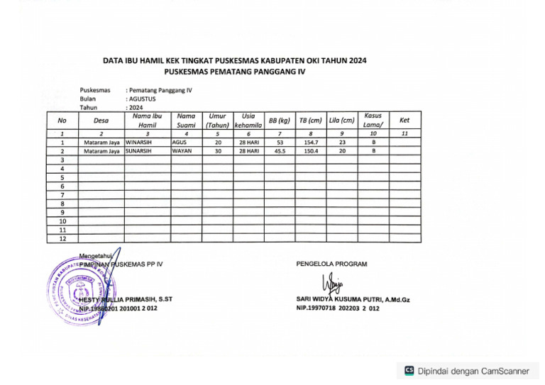 Data Bumil Kek | PDF