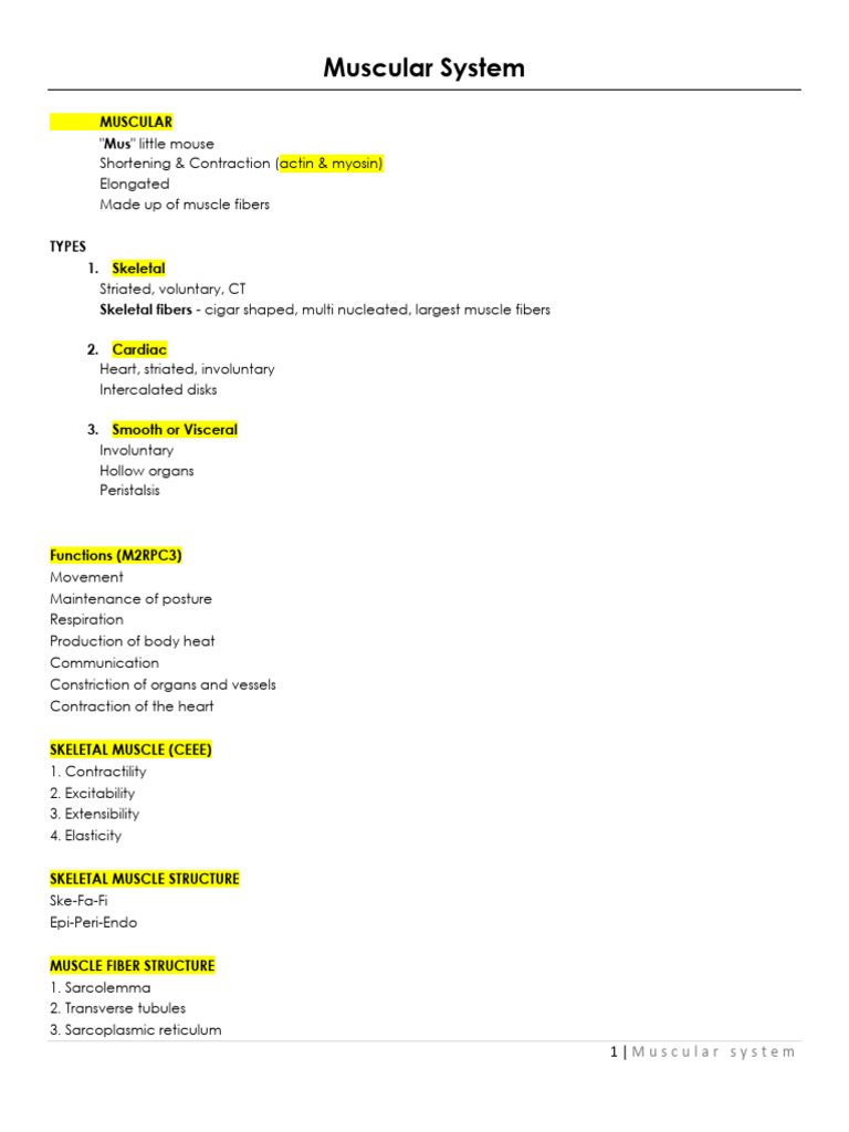 Muscular Sytem Nursing Guide | PDF