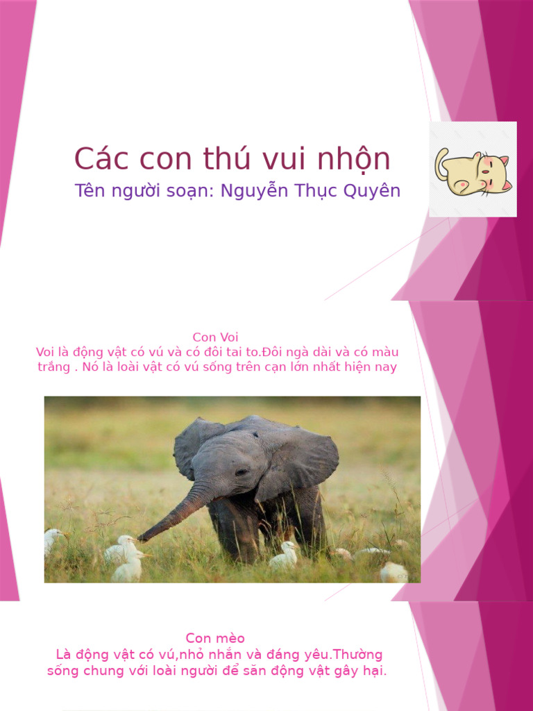 Các Con Thú Vui NH N | PDF