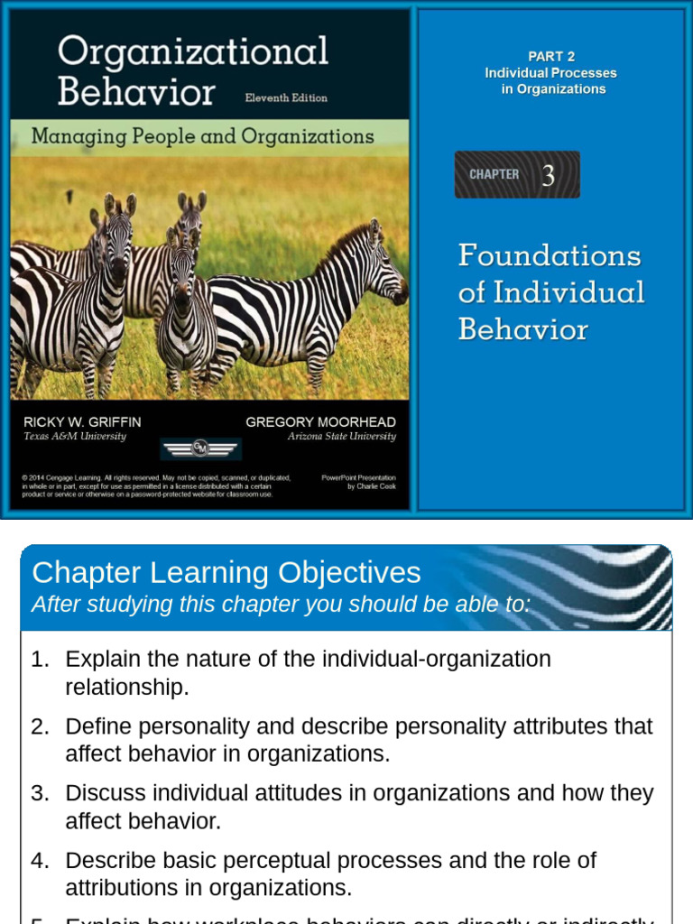 Personality, Attitudes, Perception | PDF