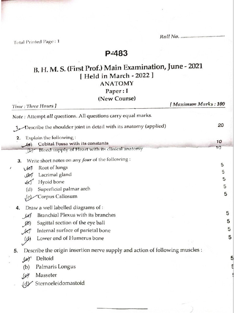 Anatomy Paper | PDF