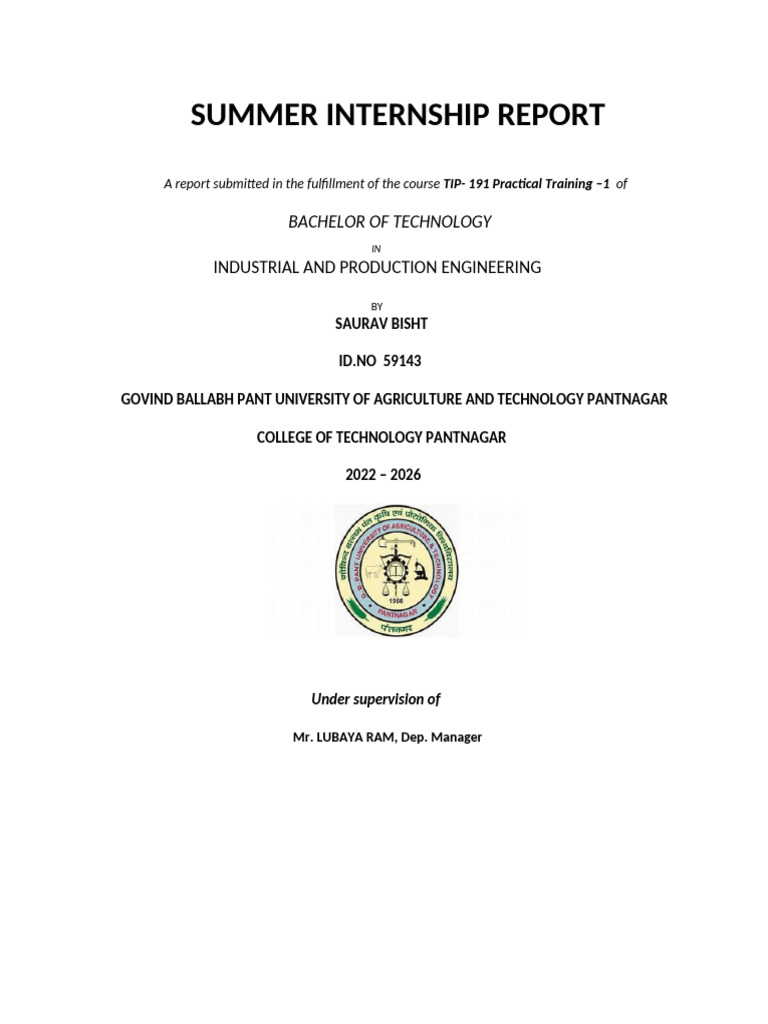 Internship Report | PDF