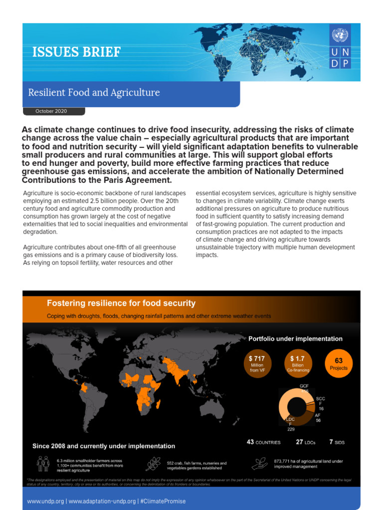 UNDP Issue Brief Food and Agriculture EN | PDF | Agriculture ...