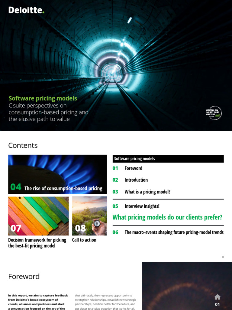 Us Deloitte Software Pricing Models | PDF