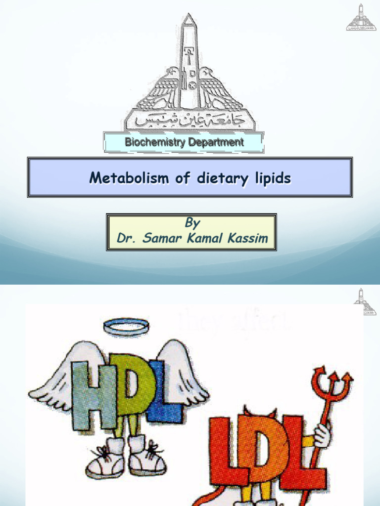 LDL HDL Revision | PDF