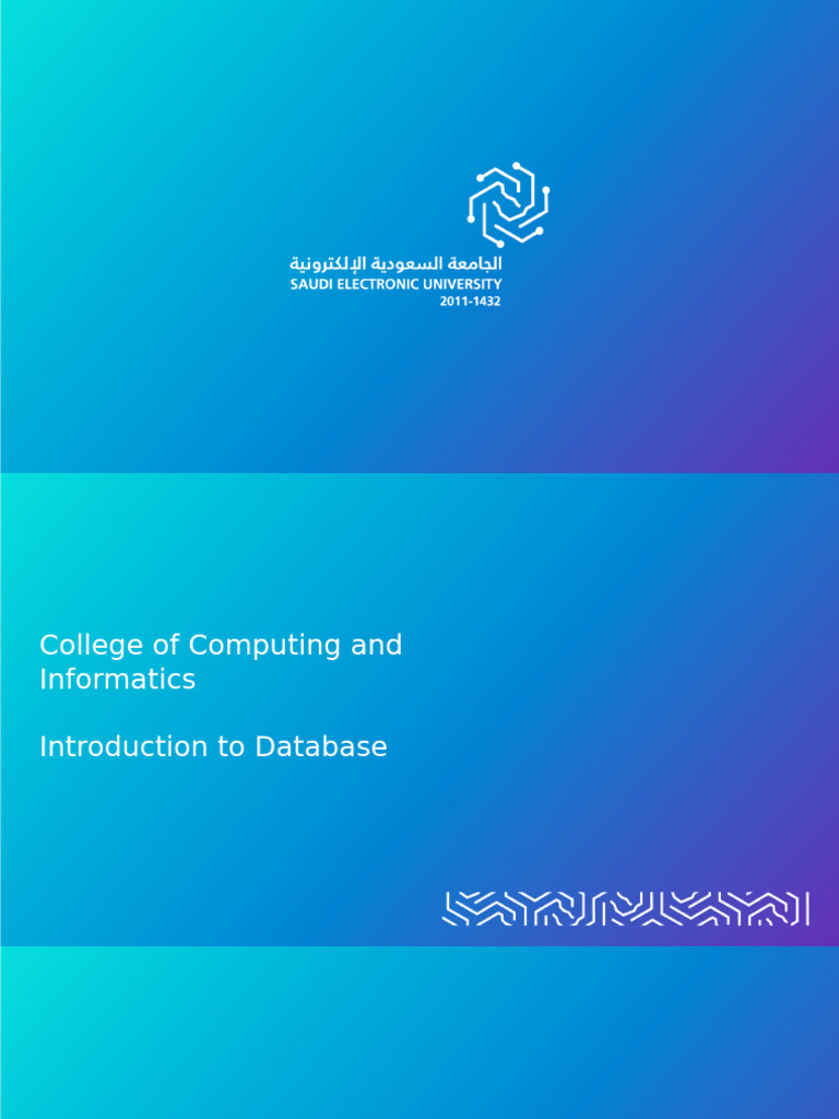 Module 13 Database Security | PDF