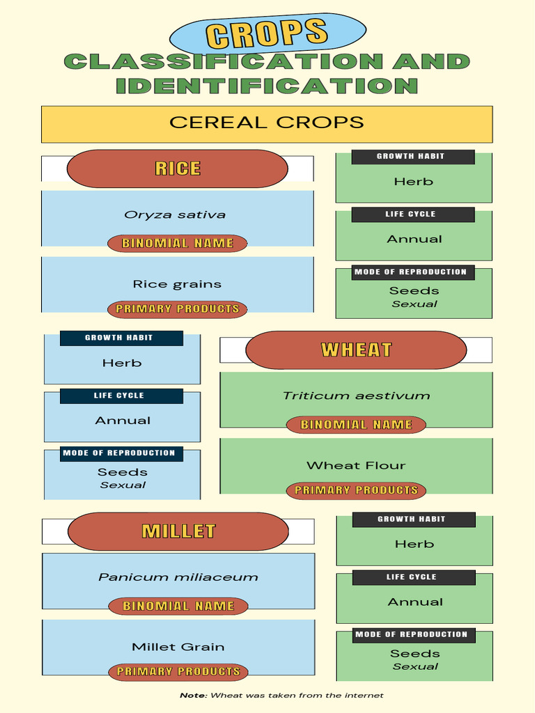 Crops Classification and Identification | PDF