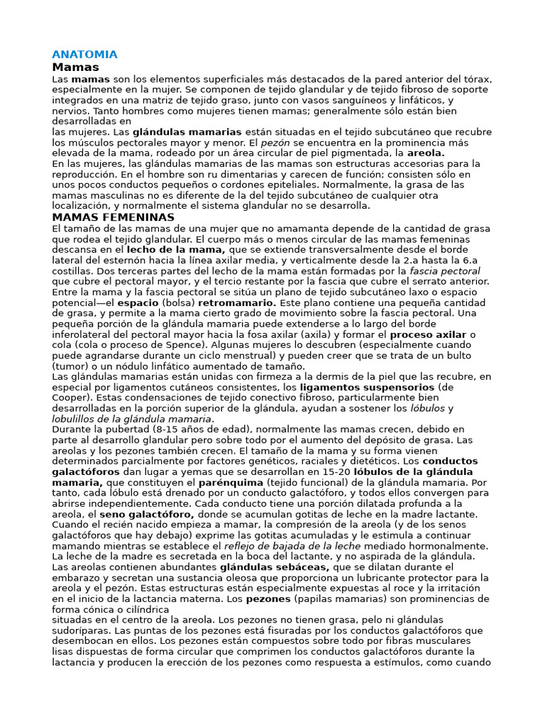 Mamas | PDF | Pecho | Salud y bienestar