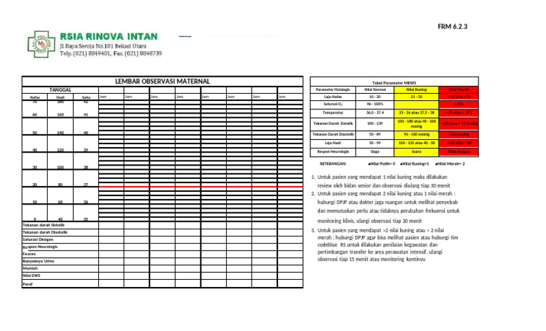 FRM - 6.2.3 - EWS Maternal | PDF