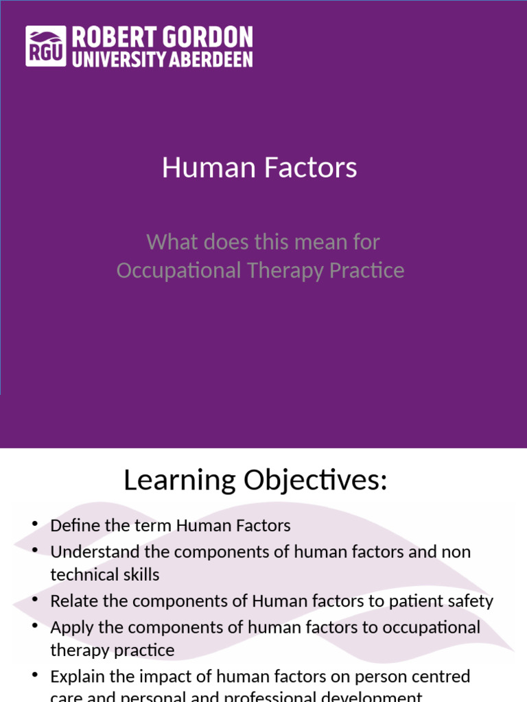 Human Factors | PDF