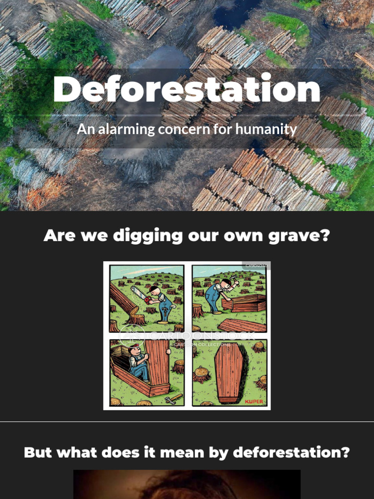 Deforestation | PDF