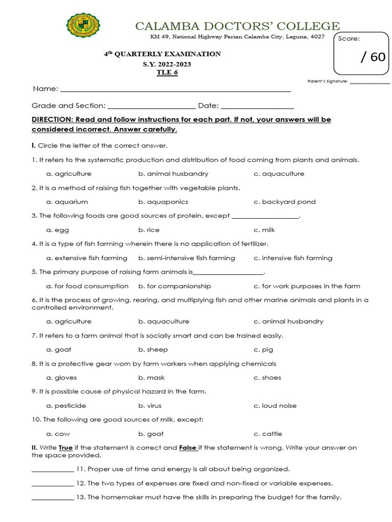 Final Examination Grade 6 | PDF