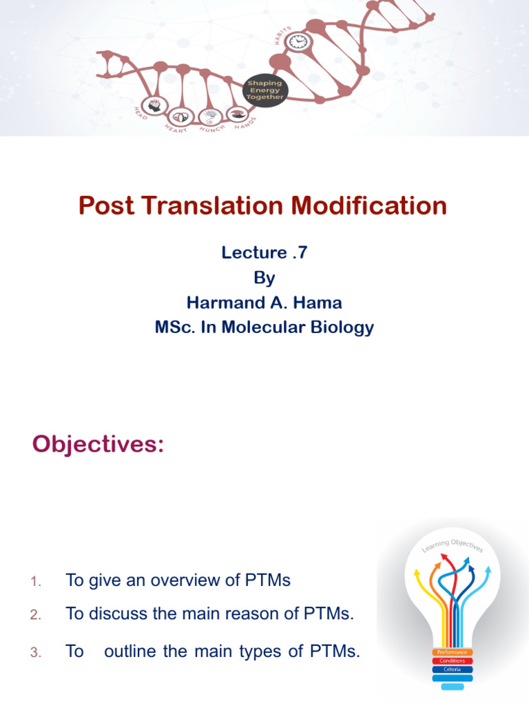 Overview of Post-Translational Modifications | PDF | Endoplasmic ...