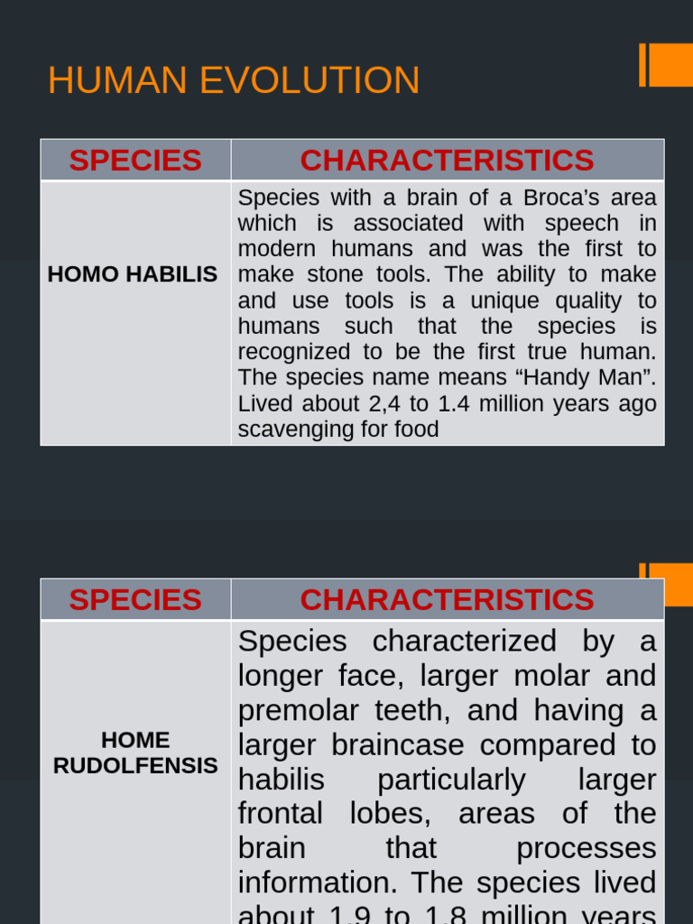 Biocultural Evolution | PDF | Homo | Social Science