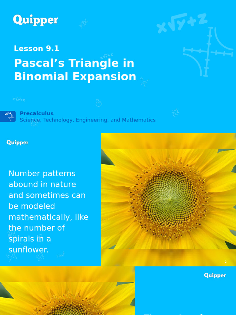 Pcal 11 q1 0901 PF Final | PDF