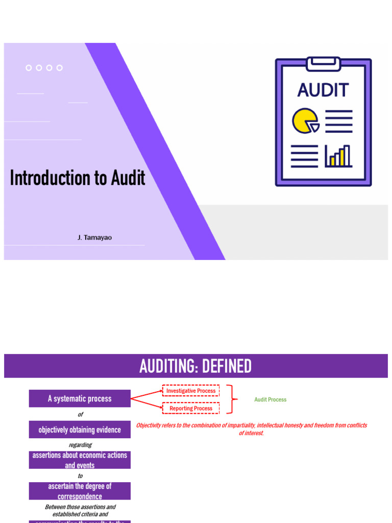 2 - Introduction To Audit | PDF