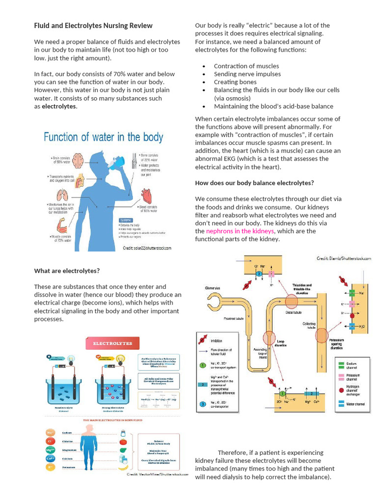 Fluid and Electrolytes Nursing Review | PDF