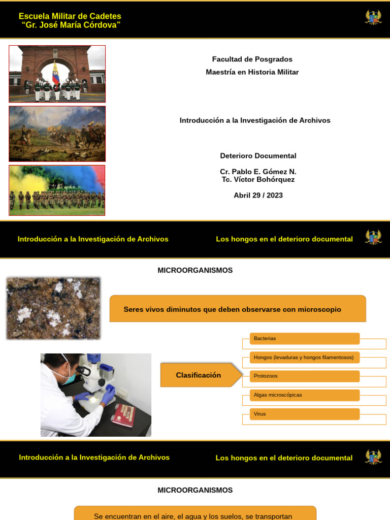 Deterioro documental | PDF