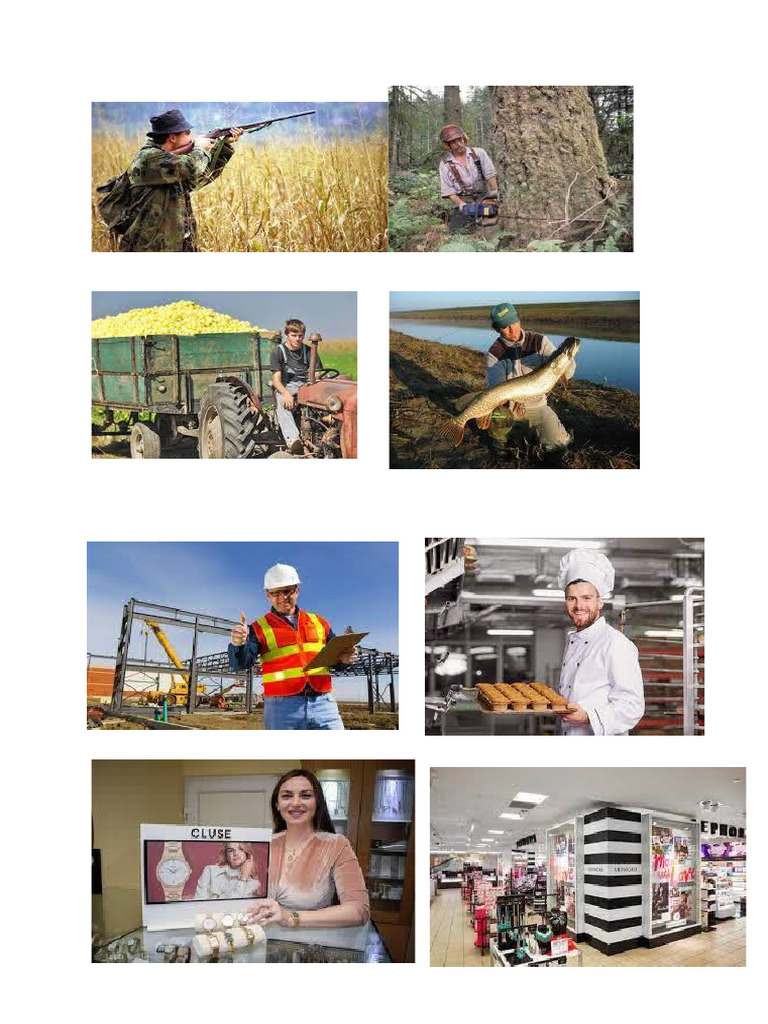 Djelatnosti, Zanimanja, Slike | PDF