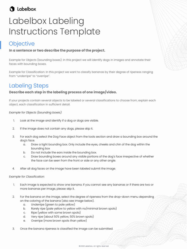 Labelbox Labeling Instructions Template v4 | PDF