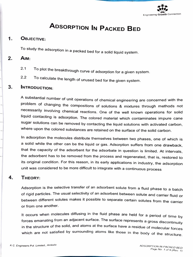 Adsorption in The Packed Bed | PDF | Adsorption | Phases Of Matter