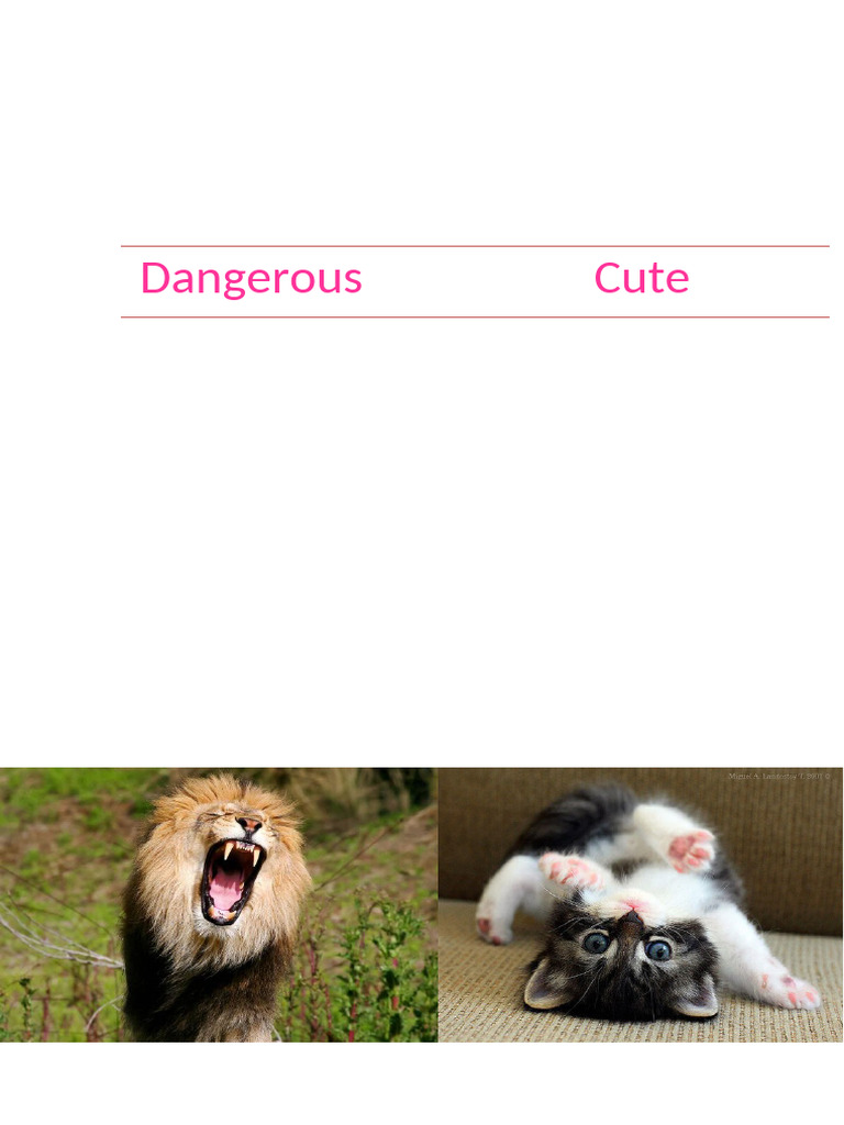 Dangerous Cute | PDF