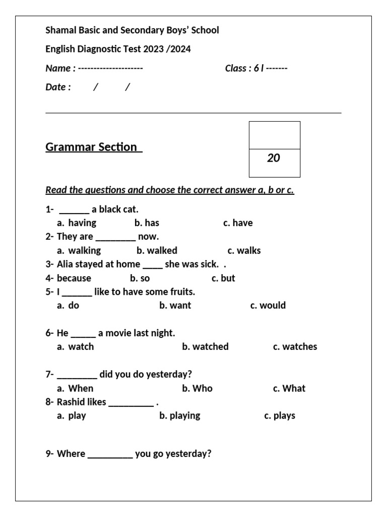 Grade 6 Diagonstic Test | PDF