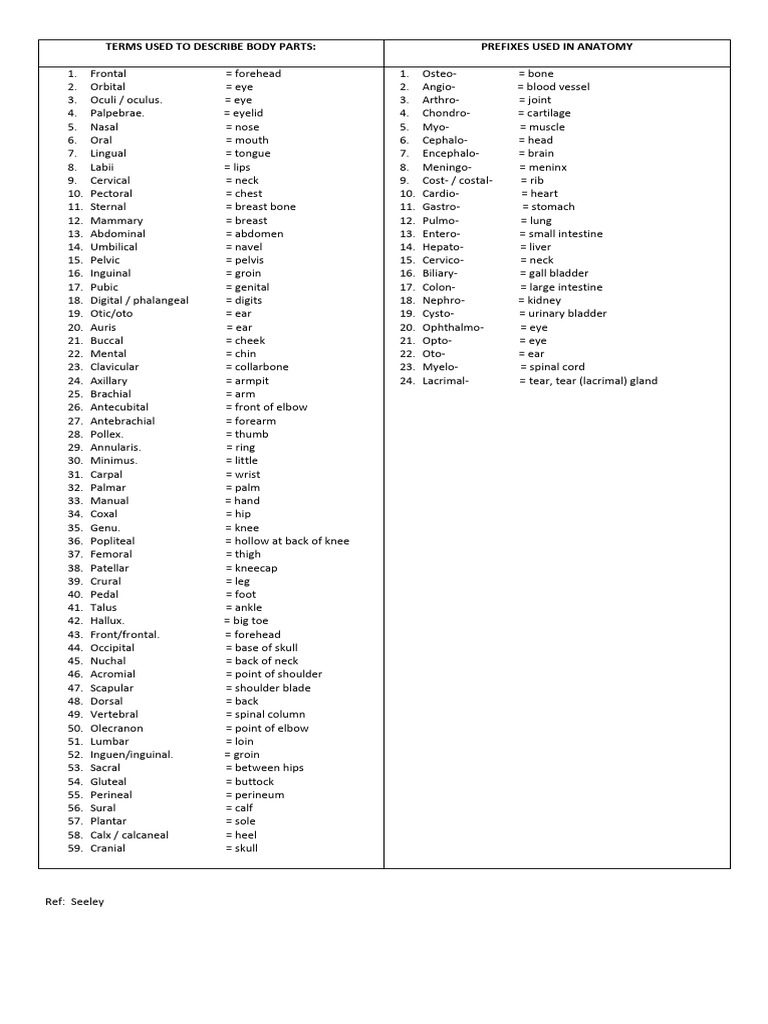 Terms Used To Describe Body Parts | PDF