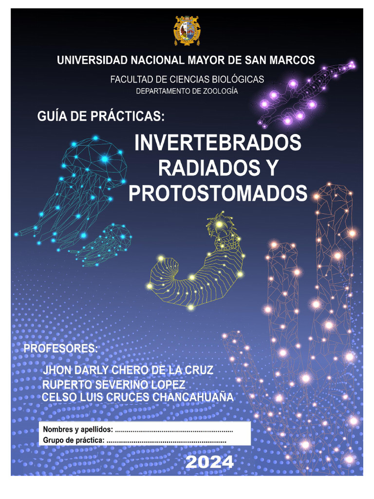 Guía Práctica: Invertebrados y Protostomados | PDF | Esponja | Ciencia ...